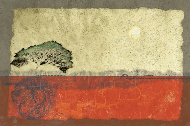 CONVERSING WITH TREES – SPECTACULUM MAGAZINE