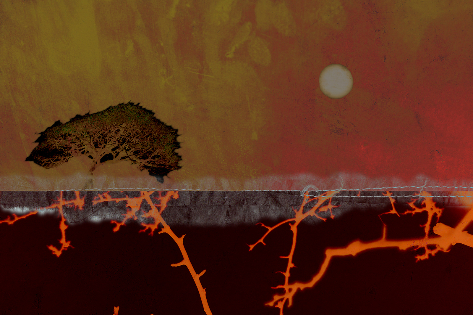CONVERSING WITH TREES – SPECTACULUM MAGAZINE