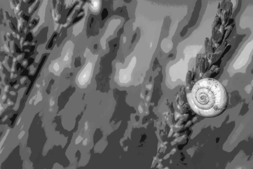 ALIENATED NATURE – SPECTACULUM MAGAZINE