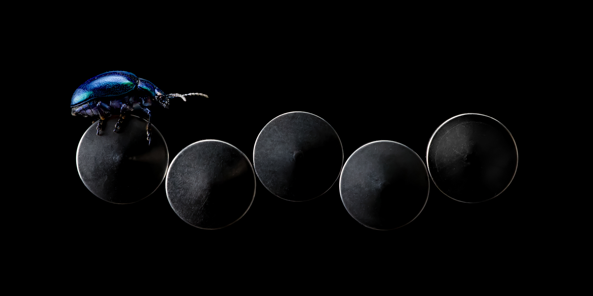 Adam Neuba – SPECTACULUM MAGAZINE