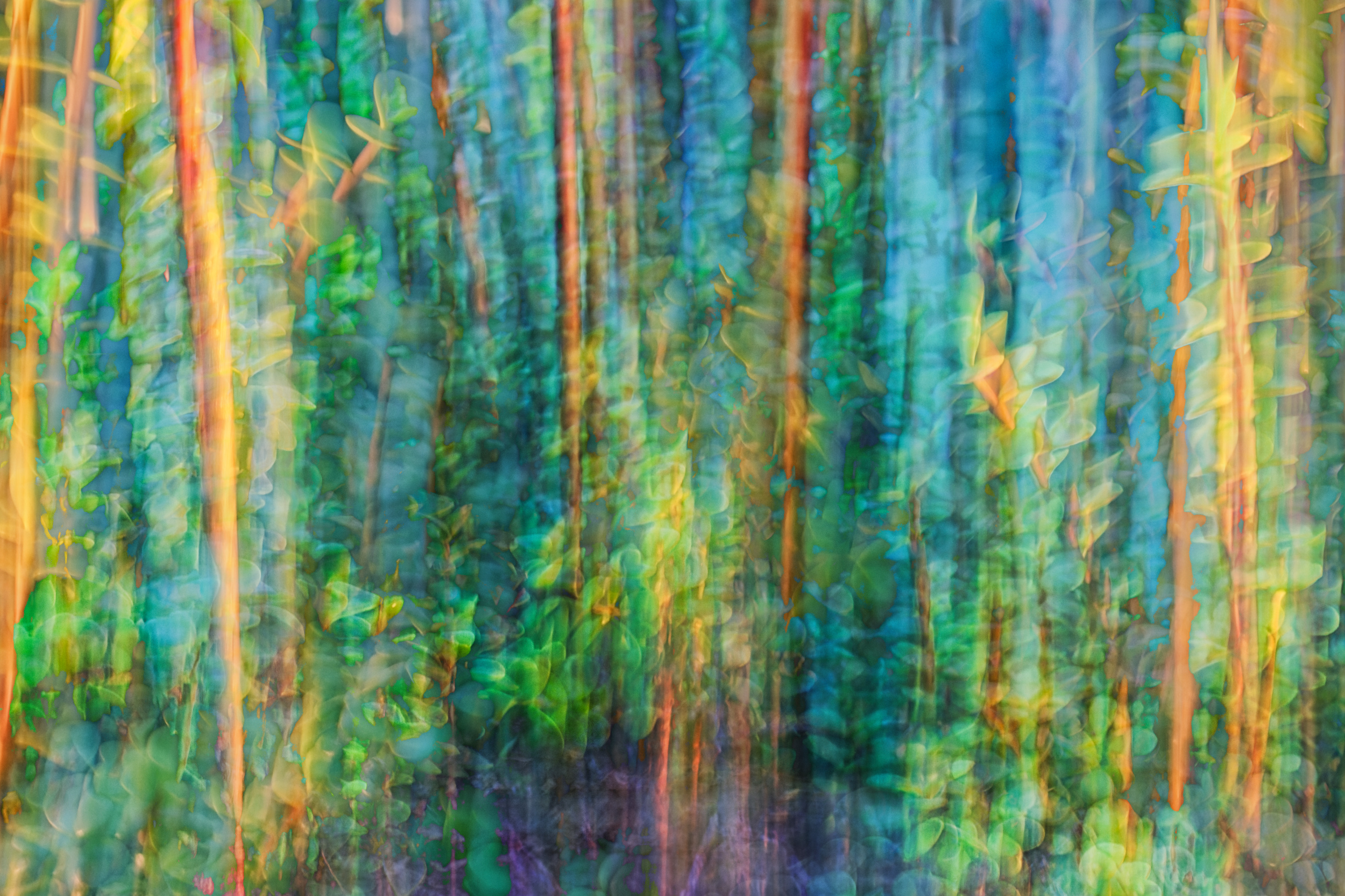 experimental photography – SPECTACULUM MAGAZINE