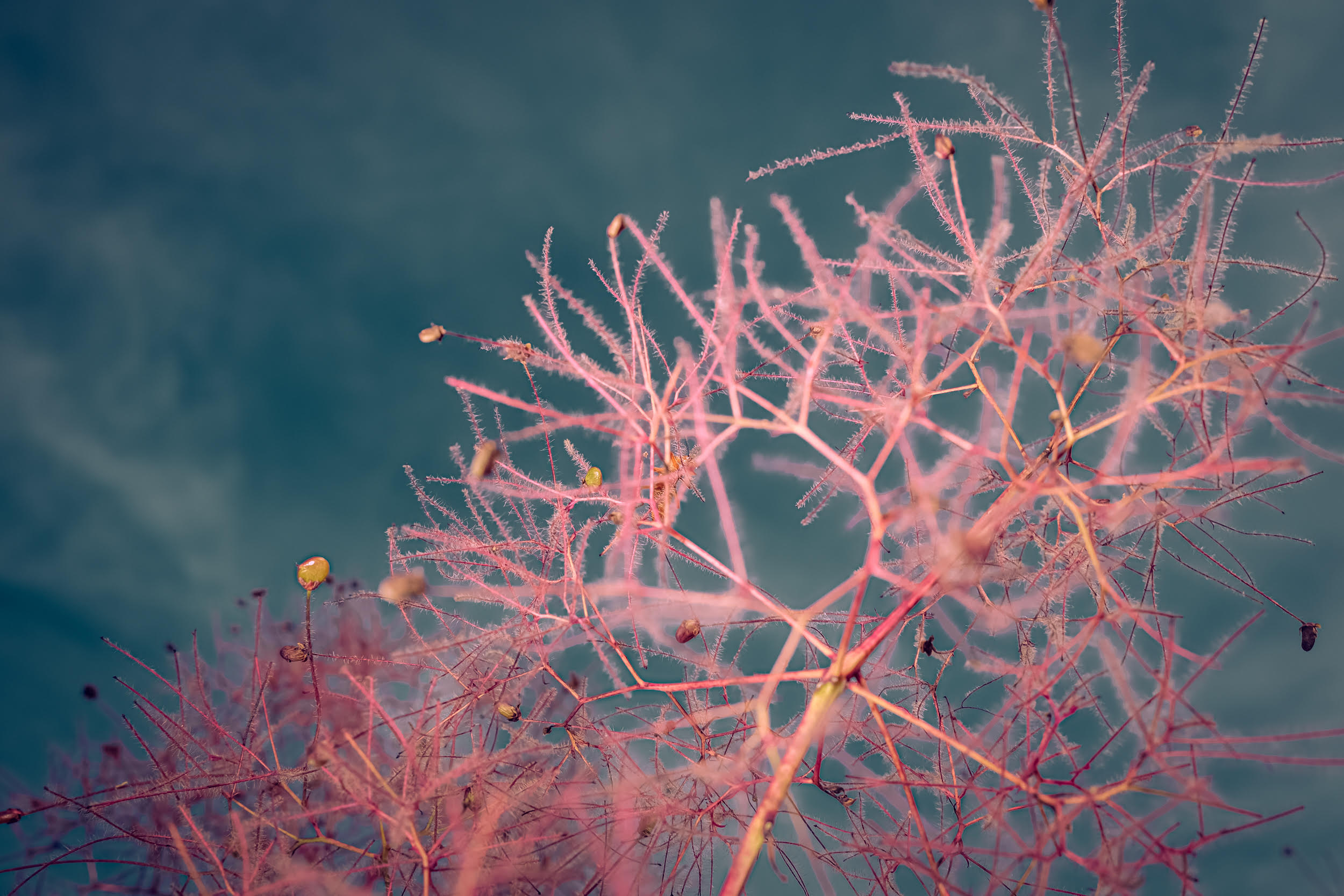 SPECTACULUM MAGAZINE – inspiring photography inspired by the arts