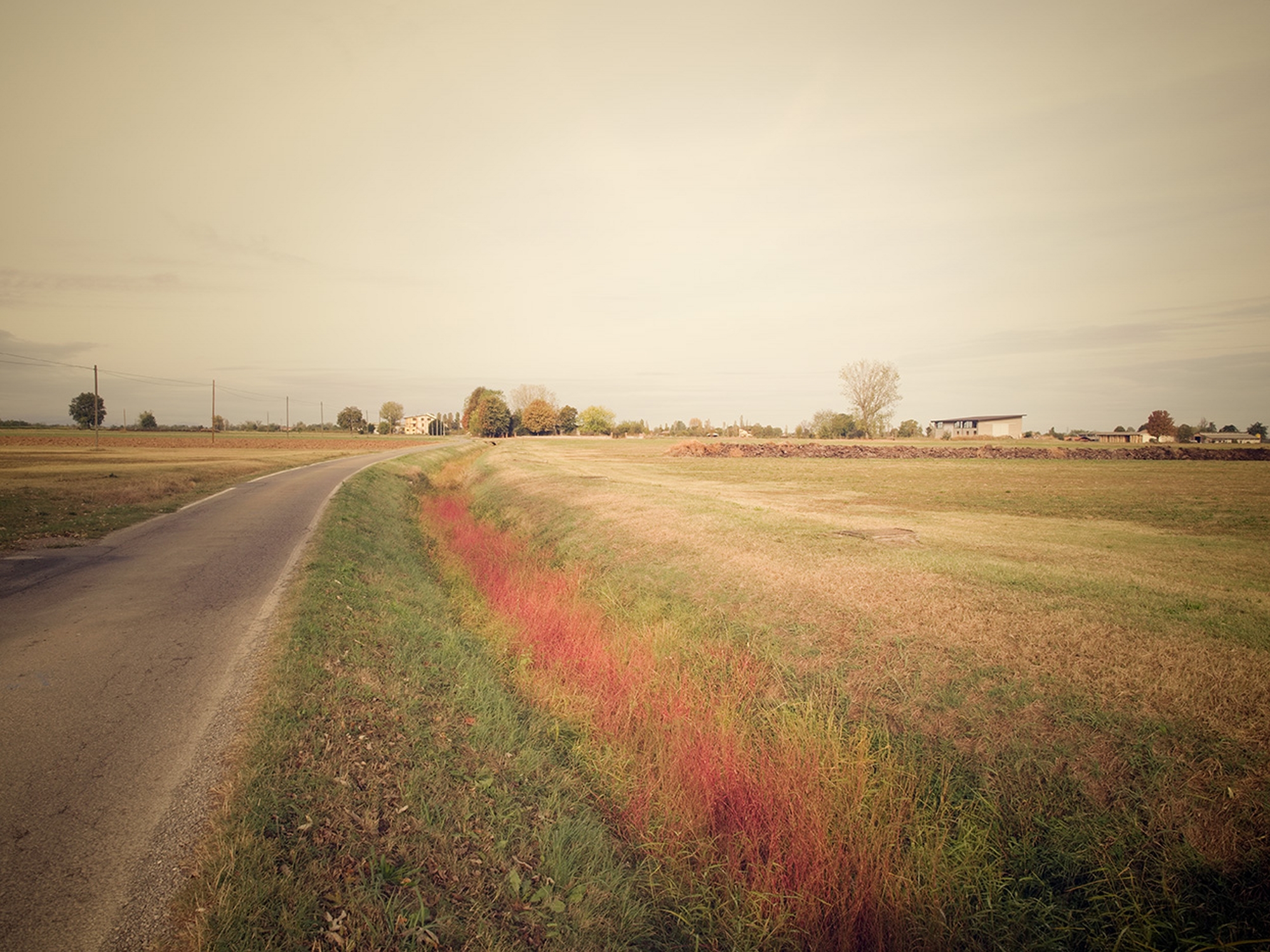 CAMINANTE – SPECTACULUM MAGAZINE