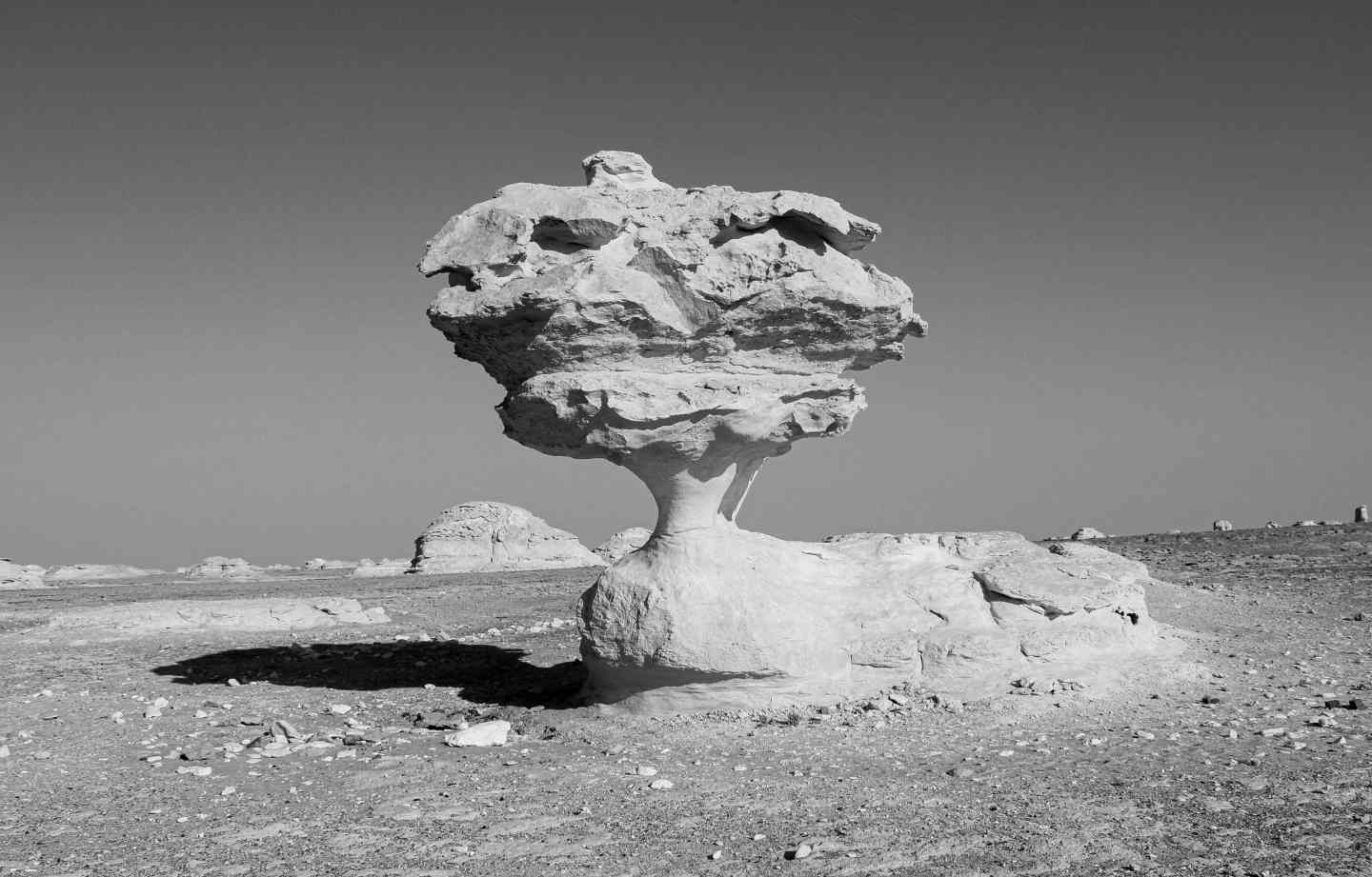 WHITE SILENCE – SPECTACULUM MAGAZINE